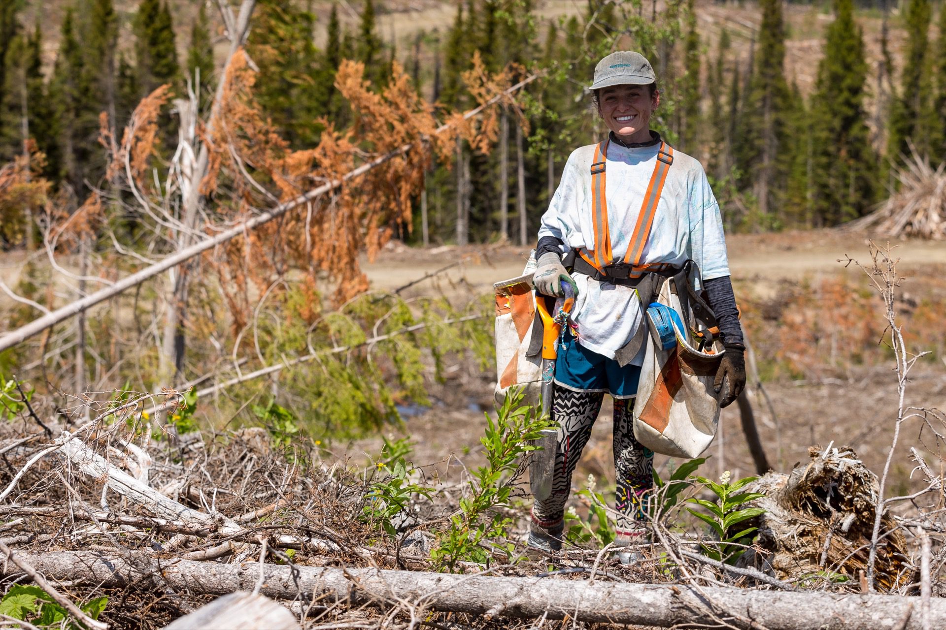 How We're Contributing to BC Forests for a Sustainable Future